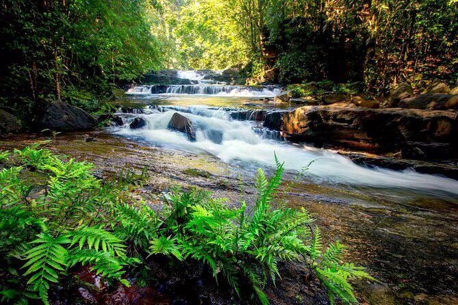 Sinharaja Rain Forest Tour from Colombo - The Sum Up