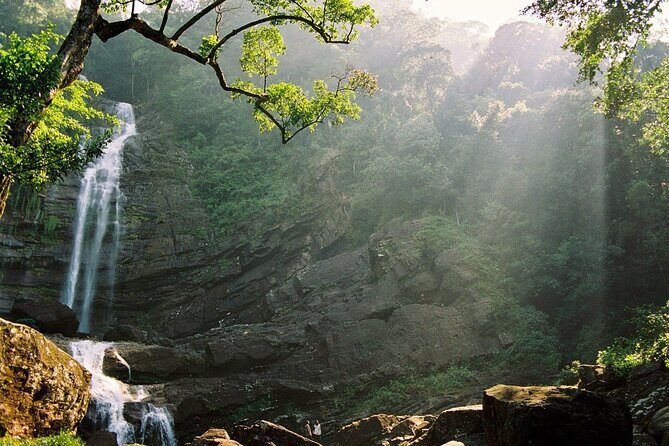 Sinharaja Rain Forest Tour from Tangalle - Practical Details and Considerations
