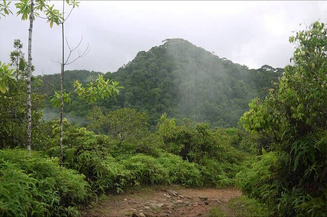 Sinharaja Rain Forest Tour from Tangalle - Final Thoughts