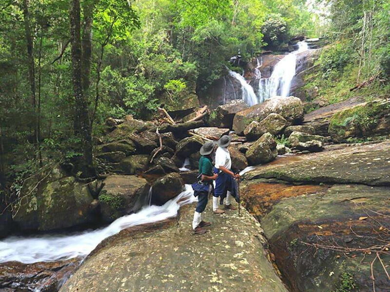 Sinharaja Rain Forest UNESCO Walk and Bird Watching Day Tour - A Closer Look at the Sinharaja Rain Forest UNESCO Walk and Bird Watching Tour