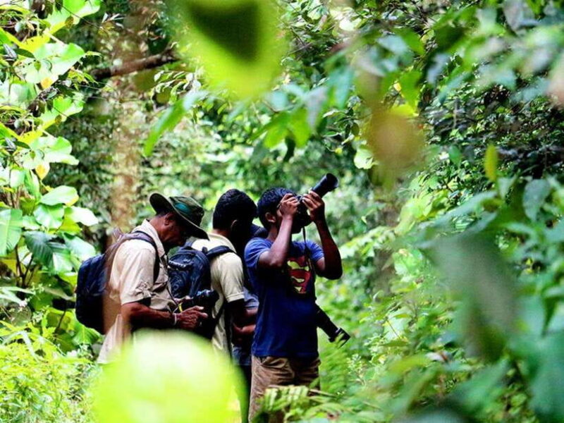 Sinharaja Rain Forest UNESCO Walk and Bird Watching Day Tour - Why This Tour Is Worth Considering