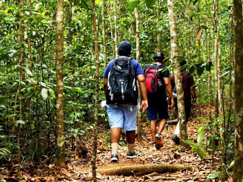 Sinharaja Rain Forest UNESCO Walk and Bird Watching Day Tour - FAQ