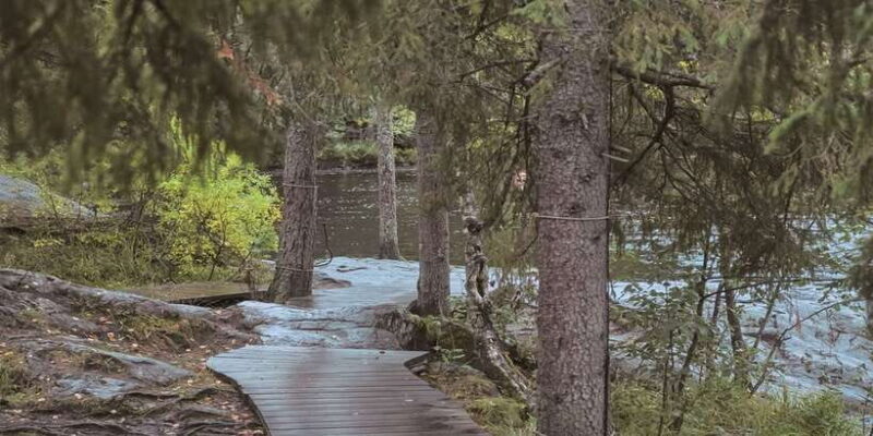 Sinharaja Rainforest Private & Customize Tour - Transportation and Group Size