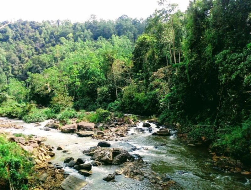 Sinharaja Rainforest Private & Customize Tour - Final Thoughts