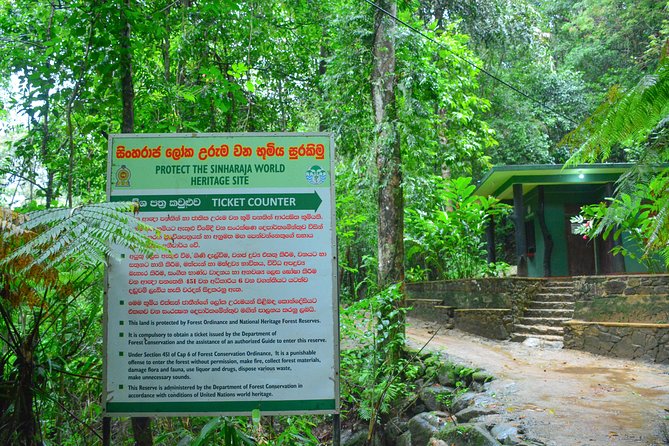 Sinharaja RainForest Private Full Day Tour - Final Thoughts