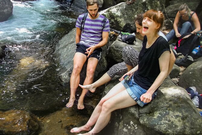 Sinharaja Rainforest Private Half Day Tour with Licensed Guide - The Sum Up