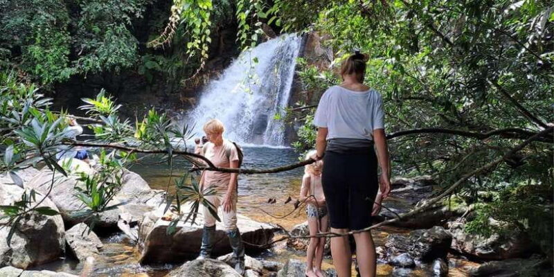 Sinharaja Rainforest Tour - What Makes the Sinharaja Rainforest Special?