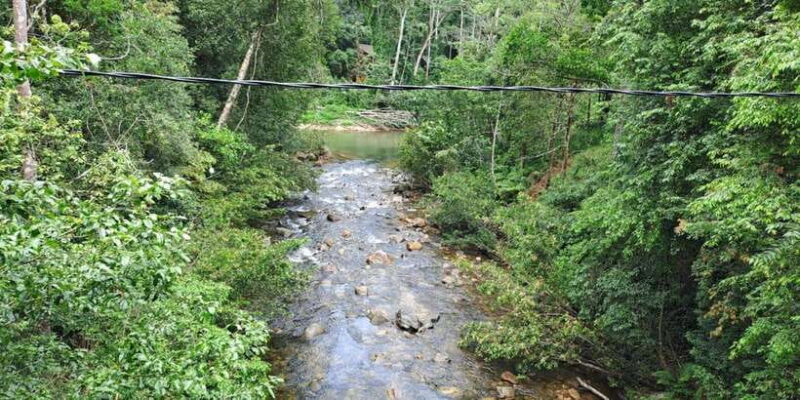 Sinharaja Rainforest Tour - Who Will Love This Tour?