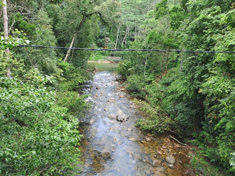 Sinharaja Rainforest Tour - Final Thoughts