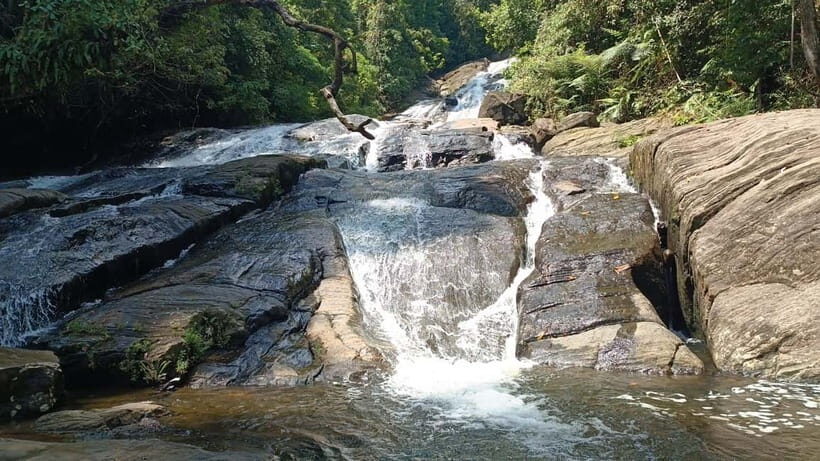 Sinharaja Rainforest: Tour with 5 Waterfalls Trek - Key Points
