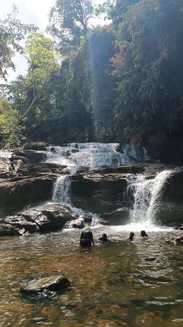 Sinharaja Rainforest: Tour with 5 Waterfalls Trek - Who Will Love This Tour