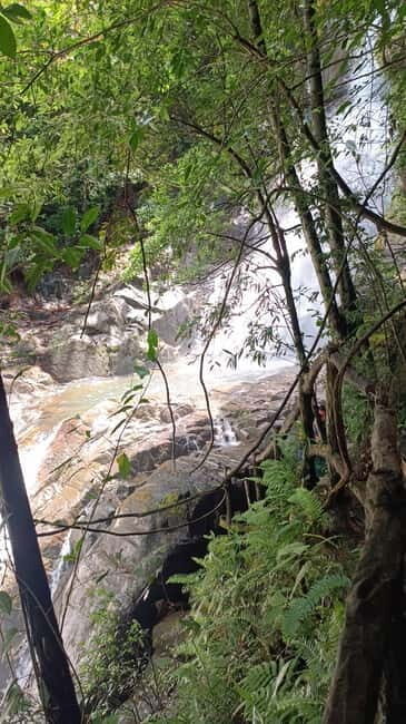 Sinharaja Rainforest: Tour with 5 Waterfalls Trek - The Sum Up