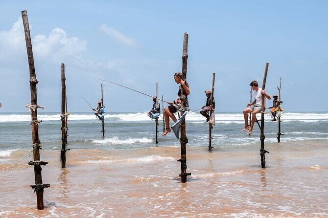 Sinharaja Rainforest Trekking All Inclusive Tour from Hambantota - The Sum Up