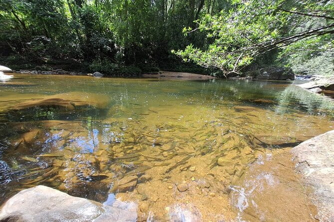 Sinharaja Rainforest Trip - Final Thoughts