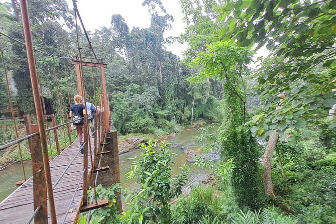 Sinharaja Rainforest Trip - FAQ