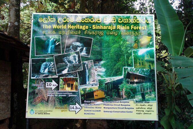 Sinharaja Rainforest & Udawalawe Safari - 2 Days, All Inclusive - Practical Details: Transportation, Duration, and Value