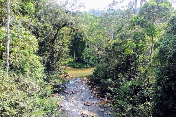 Sinharaja Rainforest & Udawalawe Safari - 2 Days, All Inclusive - Authenticity and Comfort