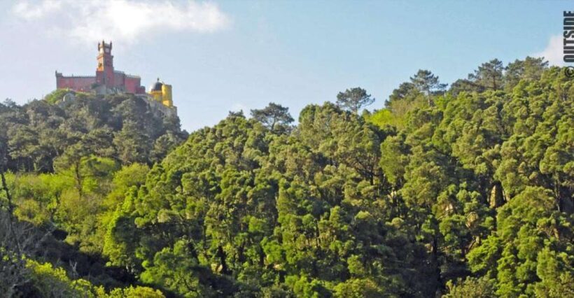 Sintra: 3.5-Hour Rock Climbing Experience - The Sum Up