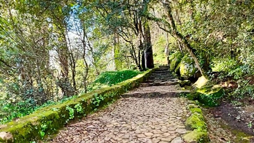 Sintra: Adventure hike around Sintra's most popular castles - Authentic Experiences and Authentic Insights