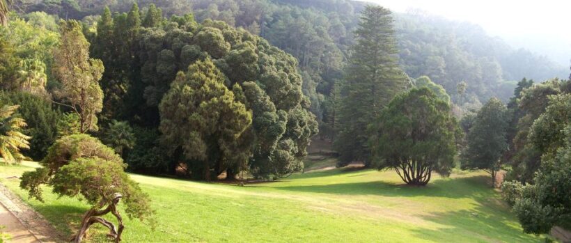 Sintra+ Cascais Gardens Full Day: Private Tour - Authentic Perspectives from Past Travelers