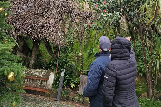 Sintra Full Day Private Tour - Insights Into Tour Accessibility