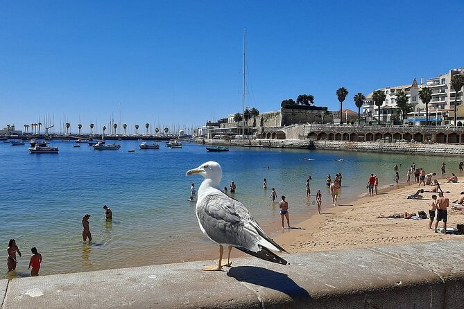 Sintra Full Day Private Tour With All Tickets Included - Transportation and Logistics Details