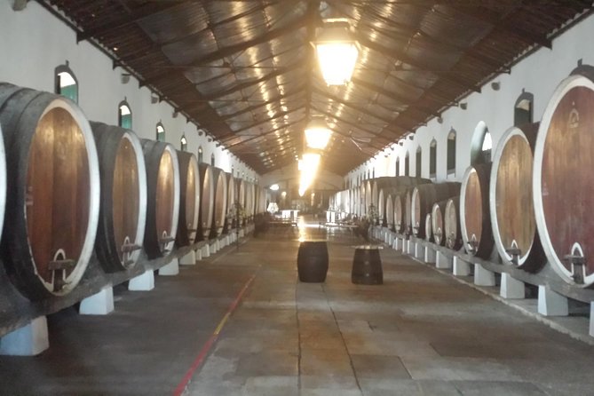 Sintra Full Day Private Wine Experience With Tastings From Lisbon - Charming Seaside Villages
