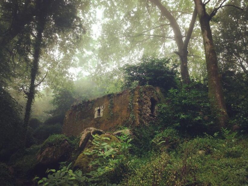 Sintra Guided Visit: Life and Death at the Capuchos Convent - Authentic and Intimate Experience