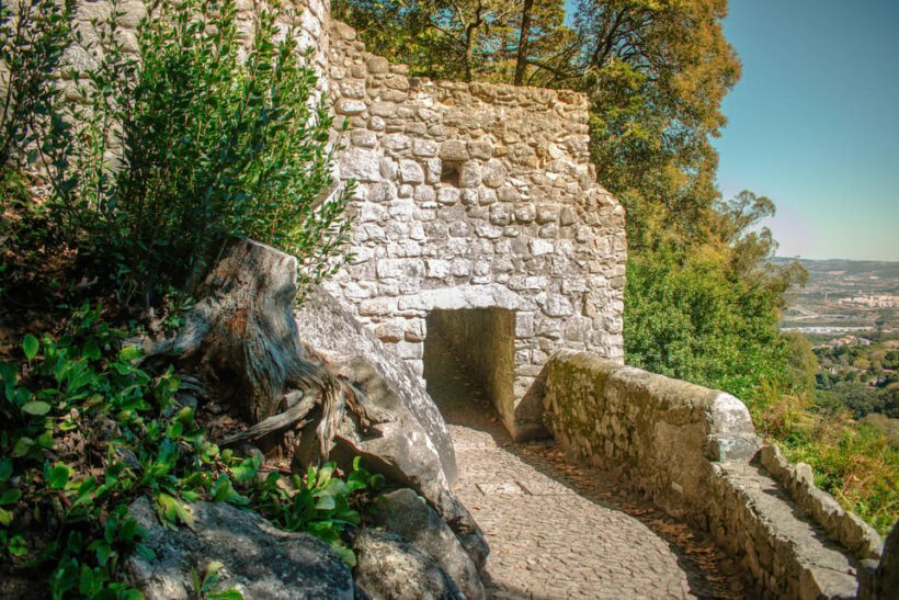 Sintra: Moorish Castle Guided Tour With Entry Ticket - An In-Depth Look at the Moorish Castle Guided Tour