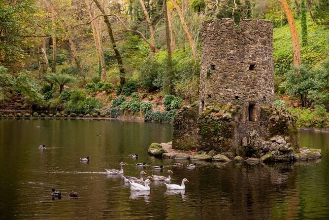 Sintra Mountain Guided Tour: Pena Palace & Moorish Castle Tickets - Accessibility and Participation