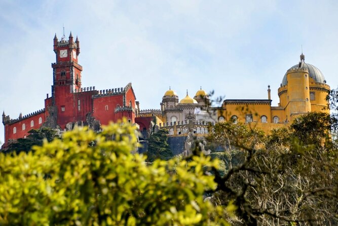 Sintra Palaces and Forest Private Tour - Introducing the Sintra Palaces and Forest Private Tour