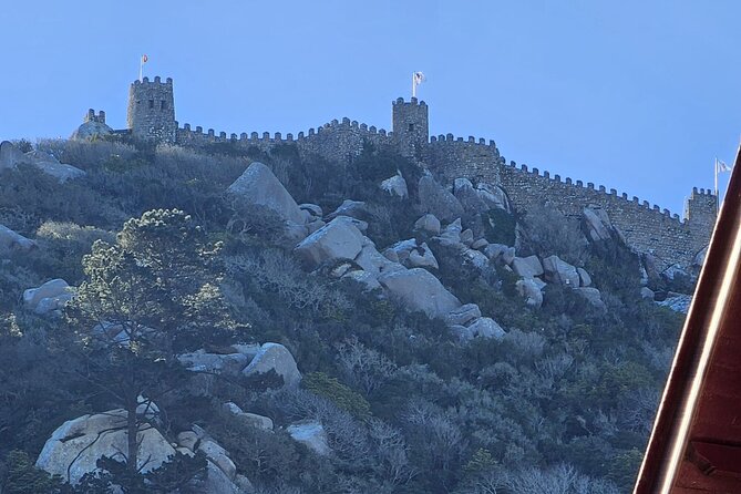 Sintra Palaces and Forest Private Tour - A Detailed Look at the Tour Experience