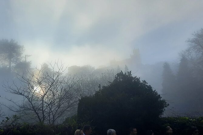 Sintra Palaces and Forest Private Tour - FAQ