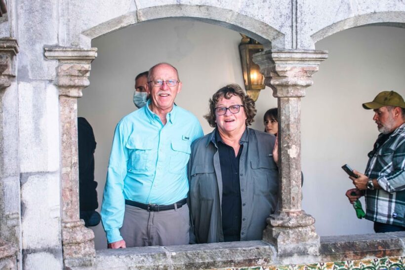 Sintra: Pena Palace Guided Tour - Who Is This Tour Best For?