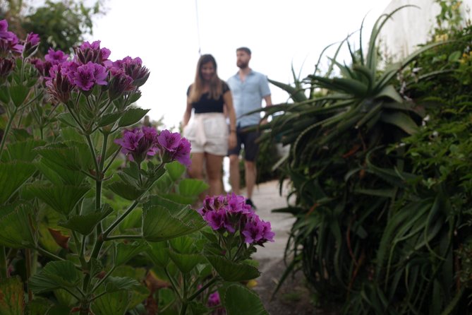 Sintra/Pena, Regaleira & Monserrate - Marveling at the Grandeur of Monserrate Palace