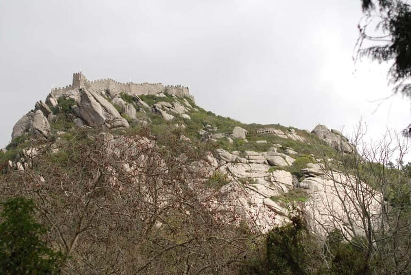 Sintra: Private Half-Day Classic Car or Electric Jeep Tour - Who Is This Tour Best For?