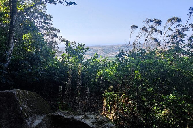 Sintra Private Hiking Adventure Tour - Reaching the Moorish Castle