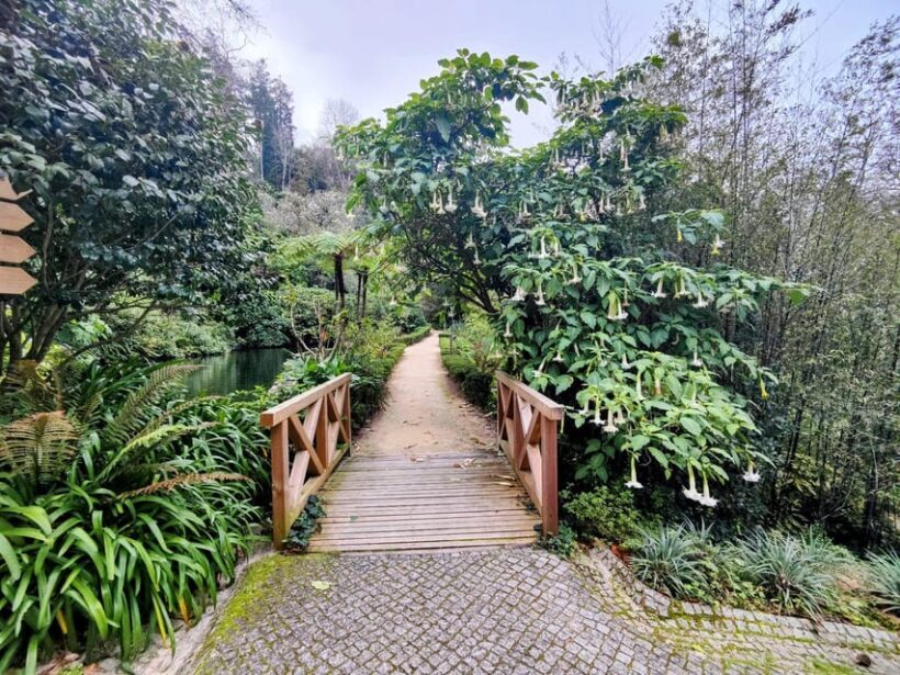 Sintra: Queluz Palace, Biester Palace, and Colares Winery - Who Should Consider This Tour?