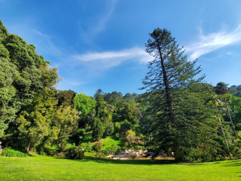 Sintra: Self-Driven Trip with Route-Planning Support - Authentic Feedback from Travelers