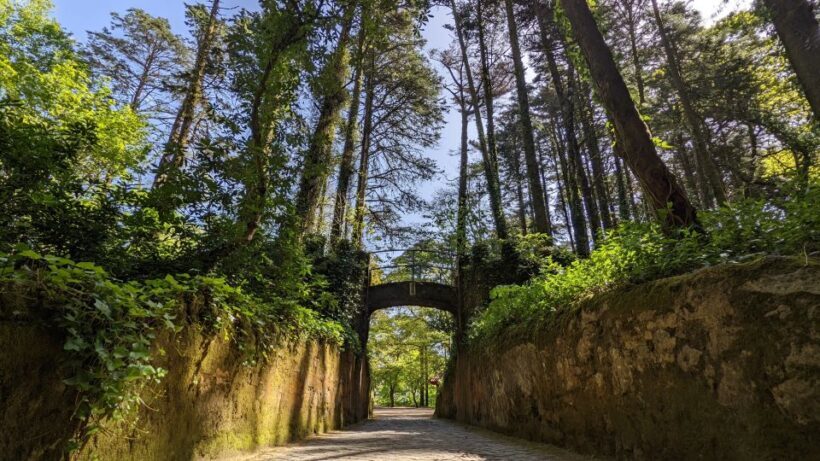 Sintra Small Group Tour from Lisbon with Pena Palace ticket - The Guides: The Heart of the Experience