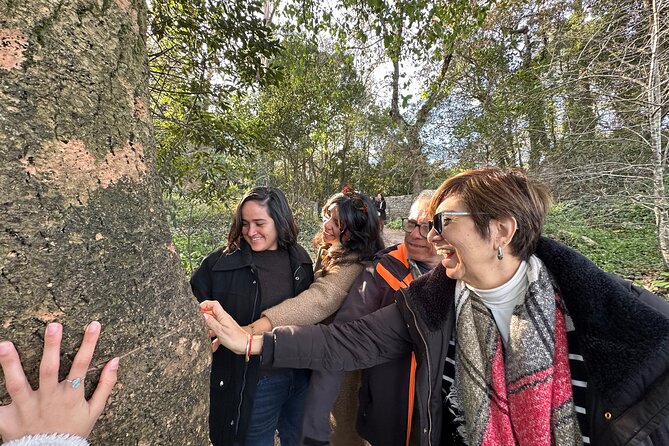 Sintra Tour by Electric Tuk Tuk - Key Points