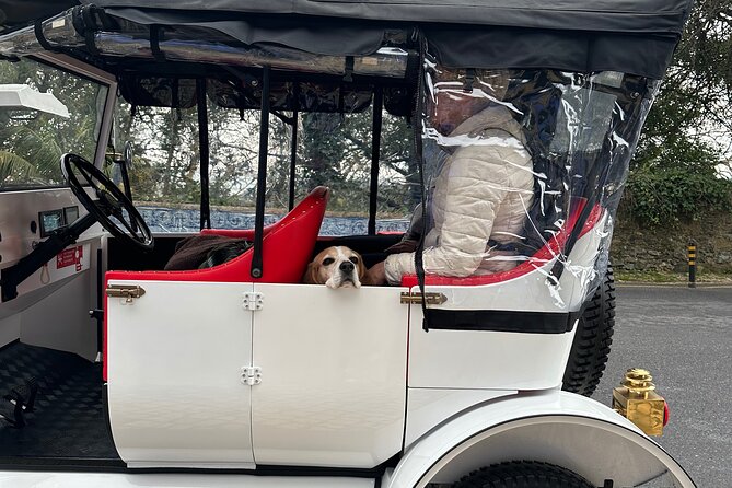 Sintra Tour by Electric Tuk Tuk - Eco-Friendly Transportation and Sustainability