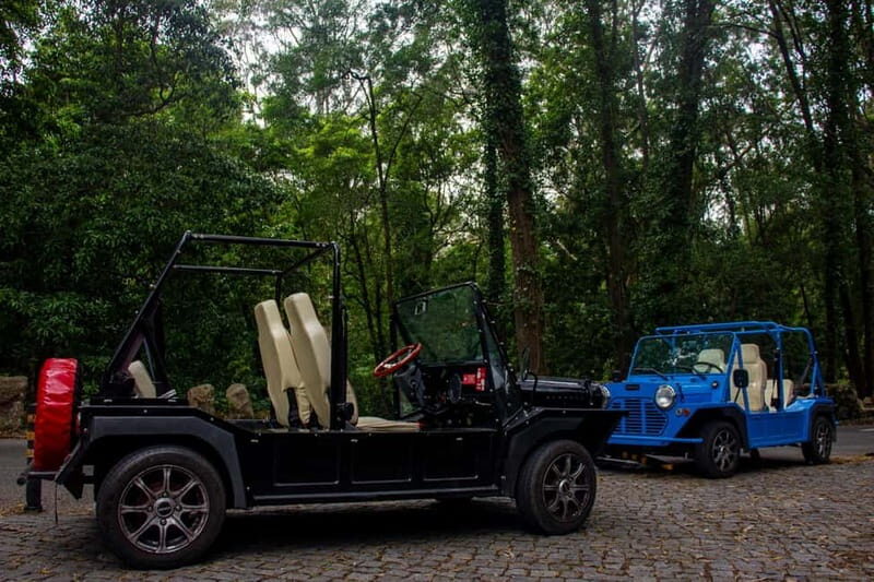 Sintra: Vintage electric Tuk Tuk tour, Pena Palace, coast 7H - What the Tour Includes and What You’ll Need to Plan