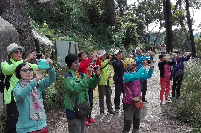 Sintra with tickets to monuments private tour from Lisbon - Additional Stops: Seteais and Monserrate