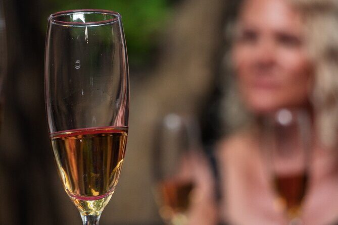 Sip and Learn Tequila Tasting in Mexico - What the Experience Entails