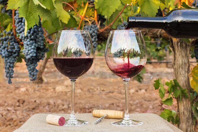 Sip and Savor: Private Yarra Valley Wine Tour from Melbourne - FAQs