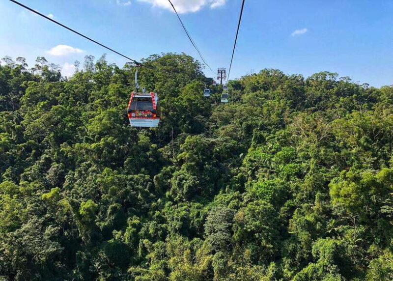 Sip & Savor:  Maokong Tea & Shenkeng Tofu Private Day Tour - Key Points
