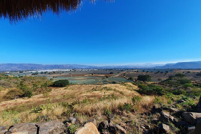 Sip & Savor Tequila Experience Distillery w/ Lunch fr Guadalajara - An Honest Look at the Tequila Tour Experience