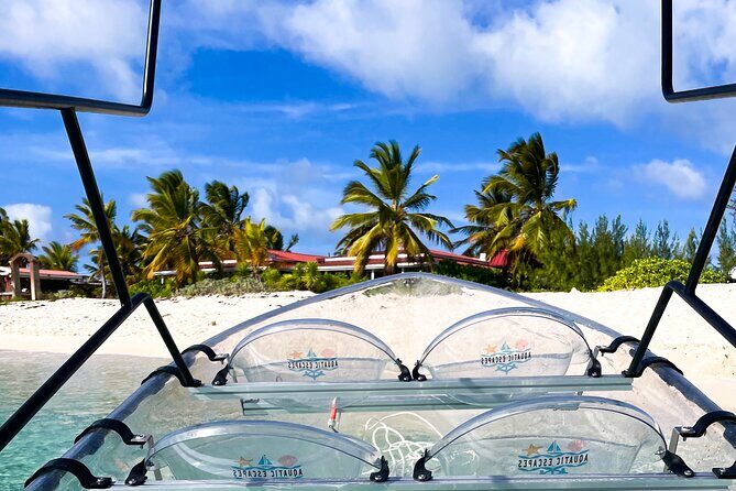 Sip & Sea Mangrove Glass Boat Tour Grand Turk Island - Key Points