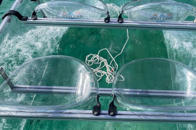 Sip & Sea Mangrove Glass Boat Tour Grand Turk Island - An In-Depth Review of the Tour